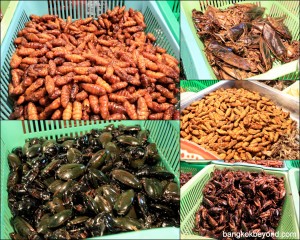 More Weird food of Thailand – Insect dishes | Bangkok Beyond Blog